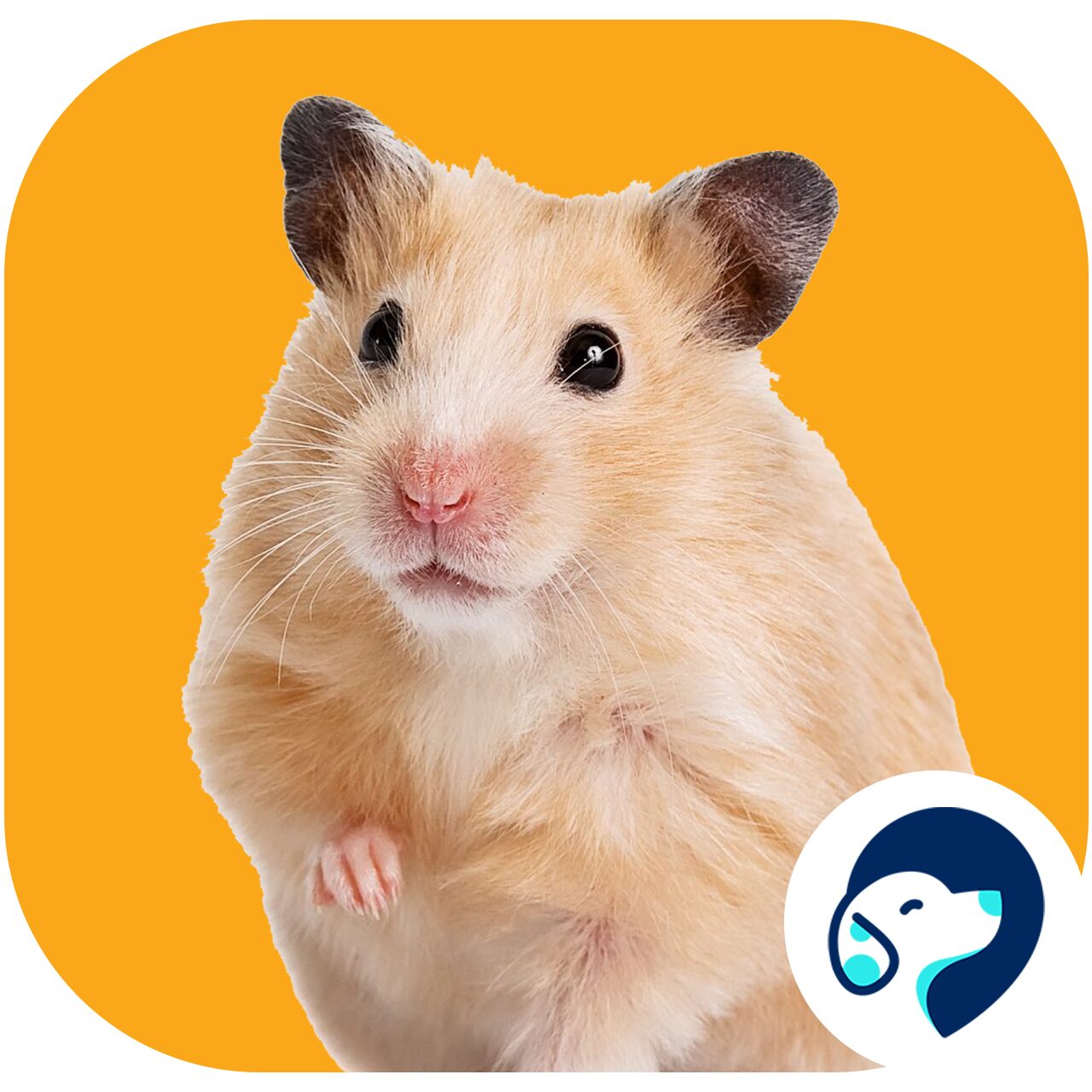 Rozatoare - Pets Point